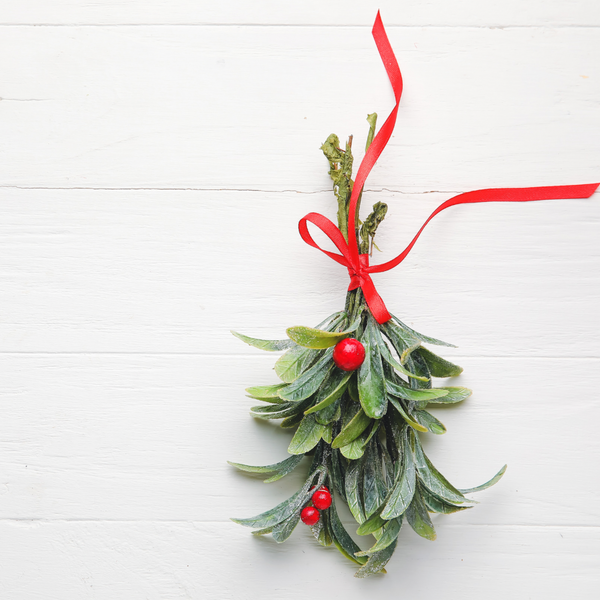 Mistletoe Magic – MetaScent Australia